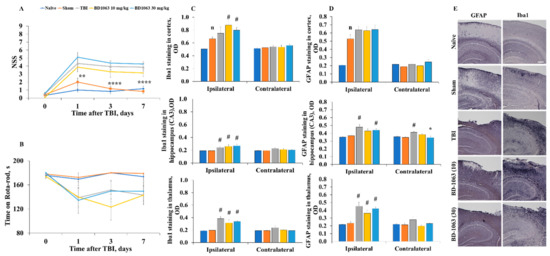 Reduced GFAP Expression in Bergmann Glial Cells in the Cerebellum of ...