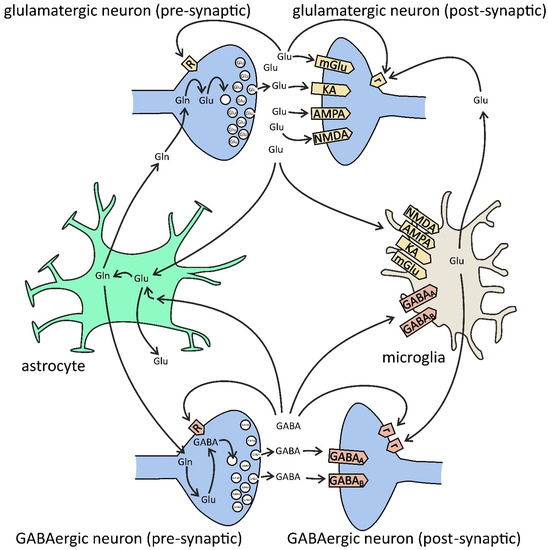 Glutamate and GABA in Microglia-Neuron Cross-Talk in Alzheimer’s Disease