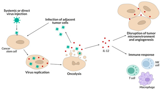 Biological Therapies in the Treatment of Cancer—Update and New Directions