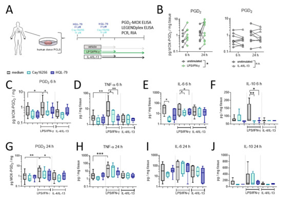 IJMS | Free Full-Text | Monocytes and Macrophages Serve as Potent ...