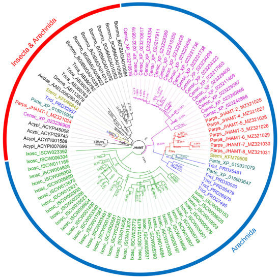 IJMS | Free Full-Text | Genomic Identification and Functional Analysis ...