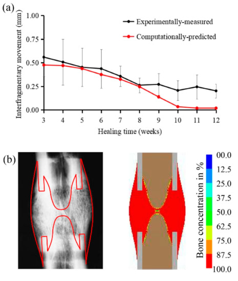 Enhancing the Efficiency of Distraction Osteogenesis through Rate ...