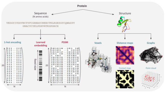 Protein Design with Deep Learning