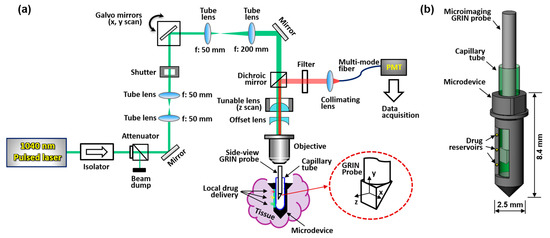 A Two-Photon Microimaging-Microdevice System for Four-Dimensional ...
