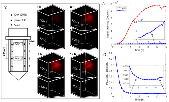 A Two-Photon Microimaging-Microdevice System for Four-Dimensional ...