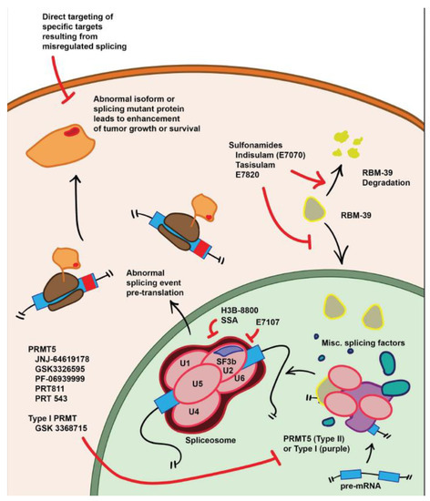 Therapeutic Targeting of Alternative RNA Splicing in Gastrointestinal ...