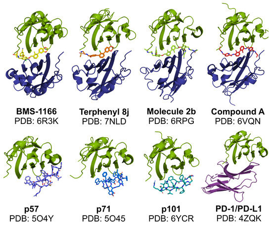 PD-L1 Inhibitors: Different Classes, Activities, and Mechanisms of Action