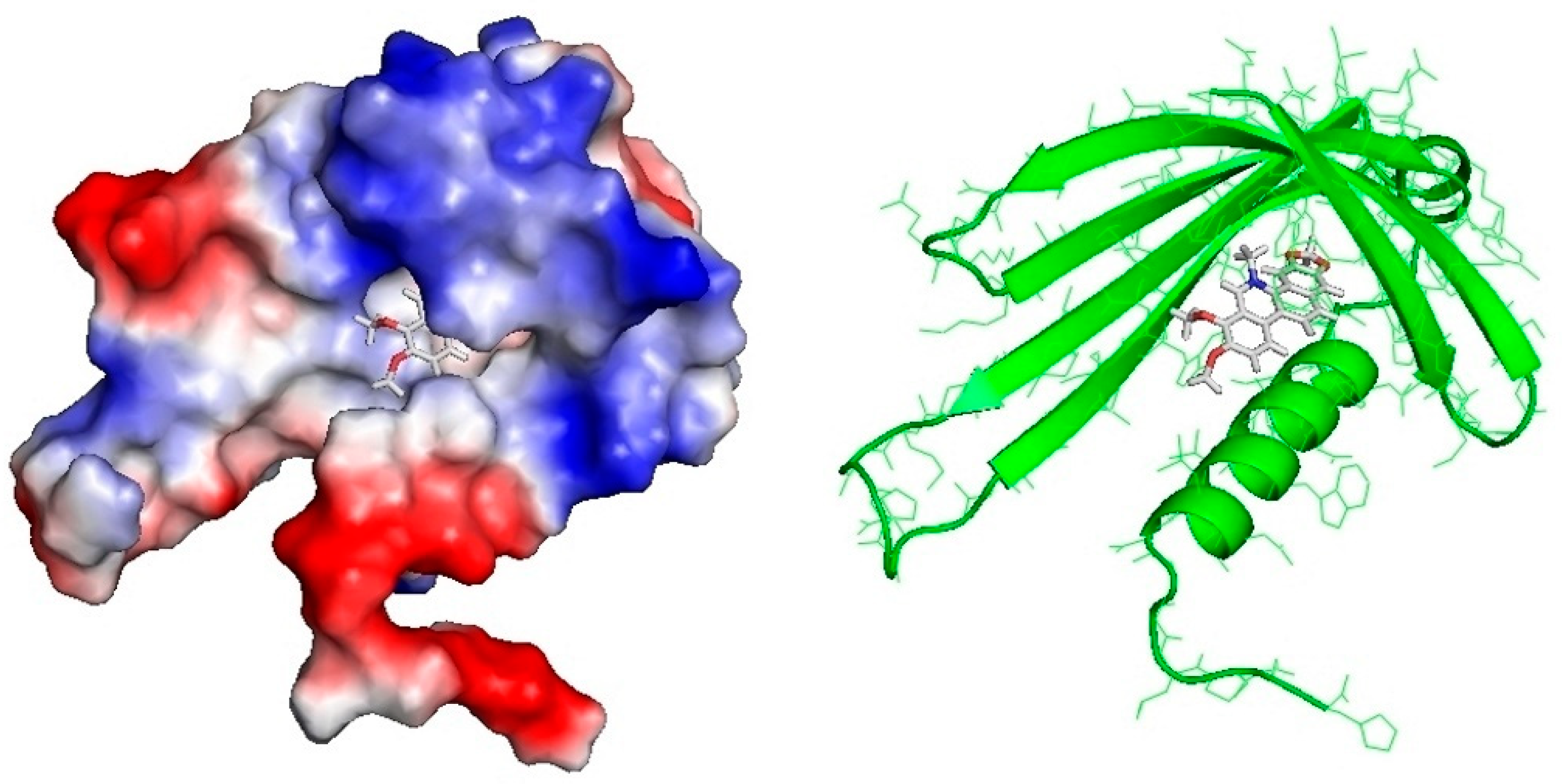 Combined Protein and Alkaloid Research of Chelidonium majus Latex ...