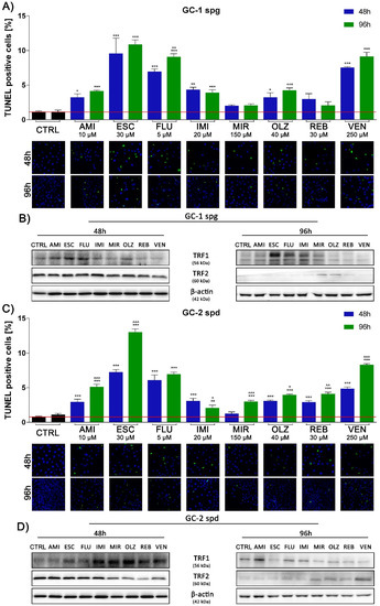 Molecular Consequences of Depression Treatment: A Potential In Vitro ...