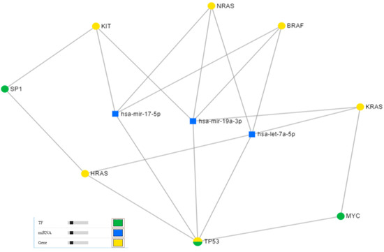 Relevance of BRAF Subcellular Localization and Its Interaction with ...
