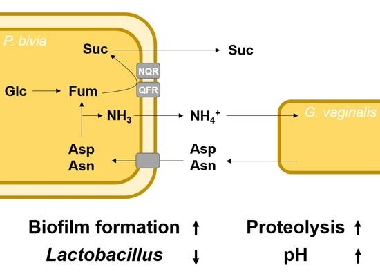 IJMS | Free Full-Text | Central Carbon Metabolism, Sodium-Motive ...