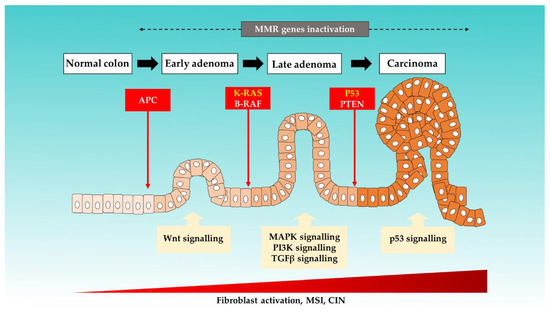 Gene Therapy Targeting p53 and KRAS for Colorectal Cancer Treatment: A ...