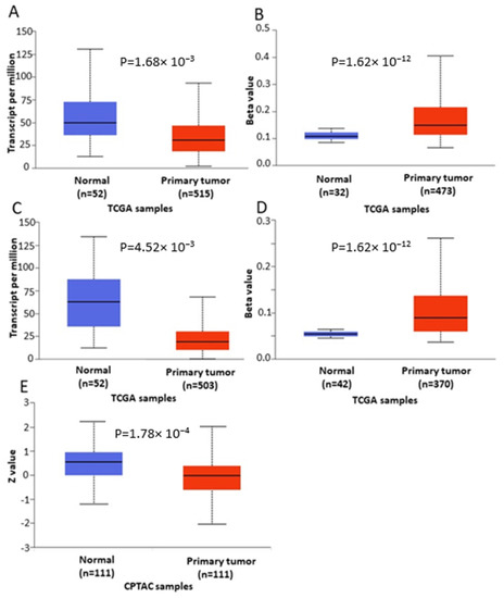 ENPP2 Methylation in Health and Cancer