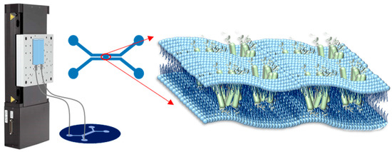 Photoactivation of Cell-Free Expressed Archaerhodopsin-3 in a Model ...