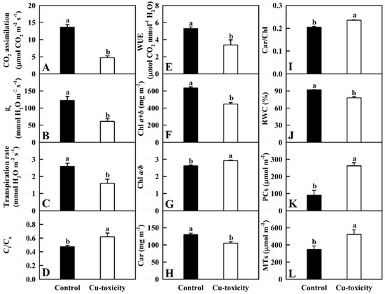 Adaptive Responses of Citrus grandis Leaves to Copper Toxicity Revealed ...