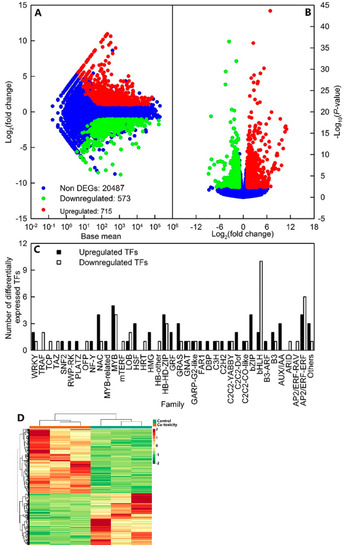 Adaptive Responses of Citrus grandis Leaves to Copper Toxicity Revealed ...