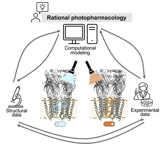 IJMS | Free Full-Text | Photopharmacology of Ion Channels through the ...