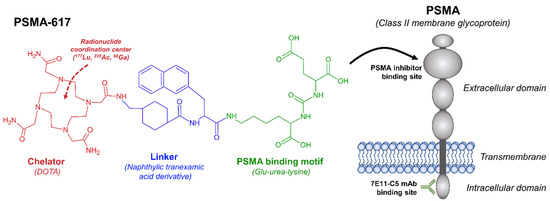 Prostate-Specific Membrane Antigen (PSMA) Theranostics for Treatment of ...