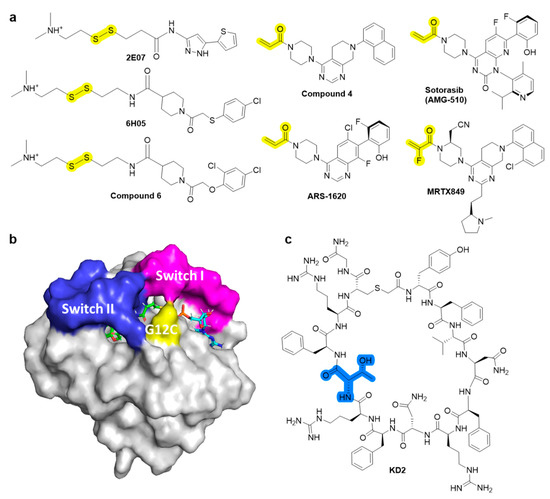 IJMS | Free Full-Text | Small-Molecule Inhibitors and Degraders ...