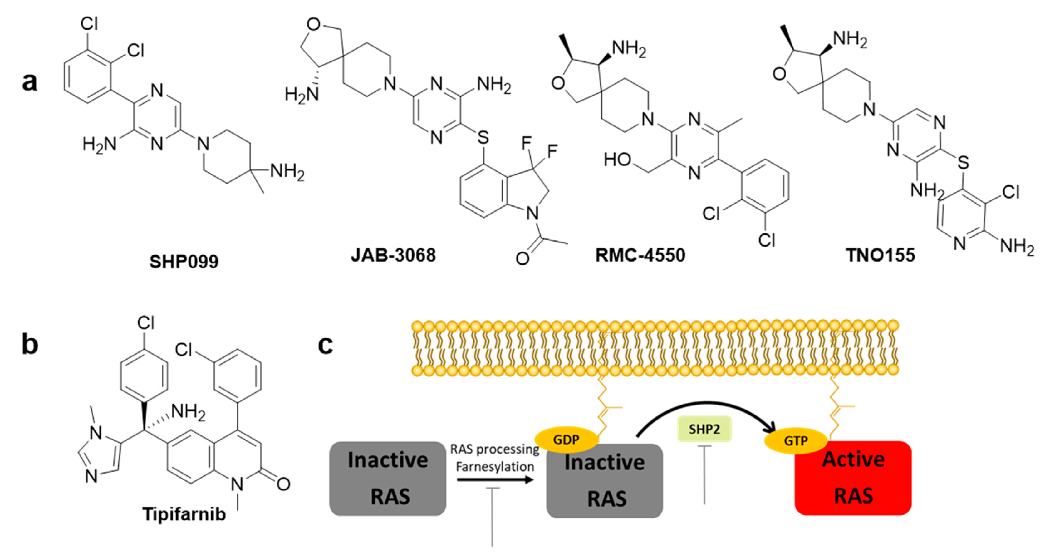 IJMS | Free Full-Text | Small-Molecule Inhibitors and Degraders ...