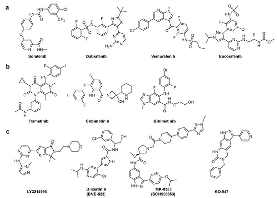 Small-Molecule Inhibitors and Degraders Targeting KRAS-Driven Cancers