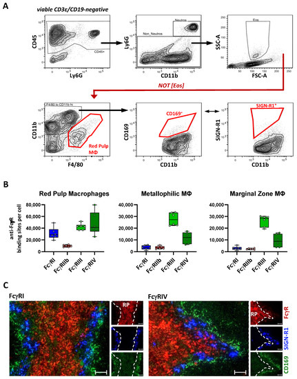 There Is Strength in Numbers: Quantitation of Fc Gamma Receptors on ...
