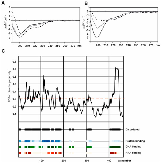 BP180/Collagen XVII: A Molecular View
