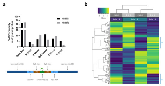 Ferroptosis Induction in Multiple Myeloma Cells Triggers DNA ...