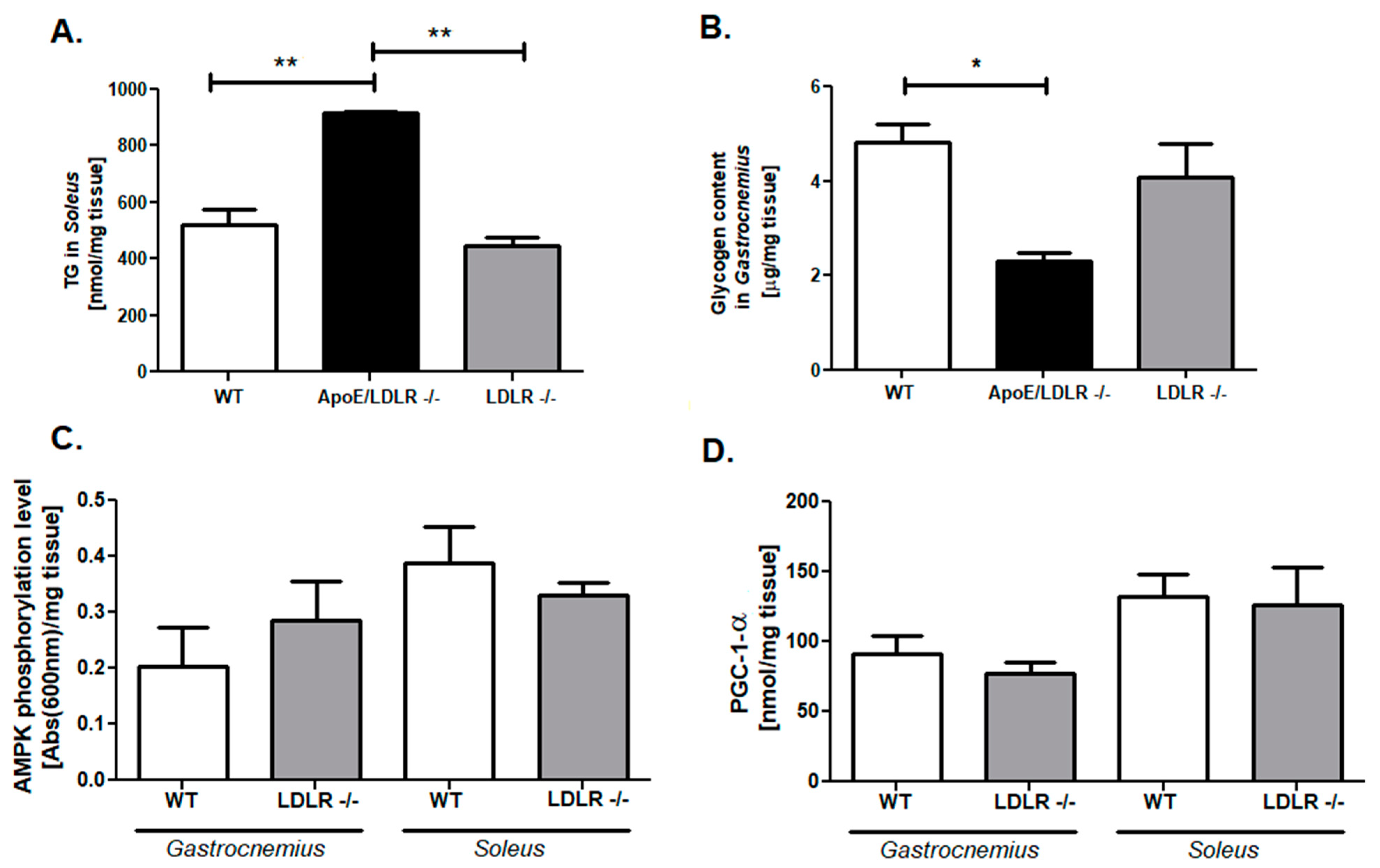 Enhanced Muscle Strength in Dyslipidemic Mice and Its Relation to ...
