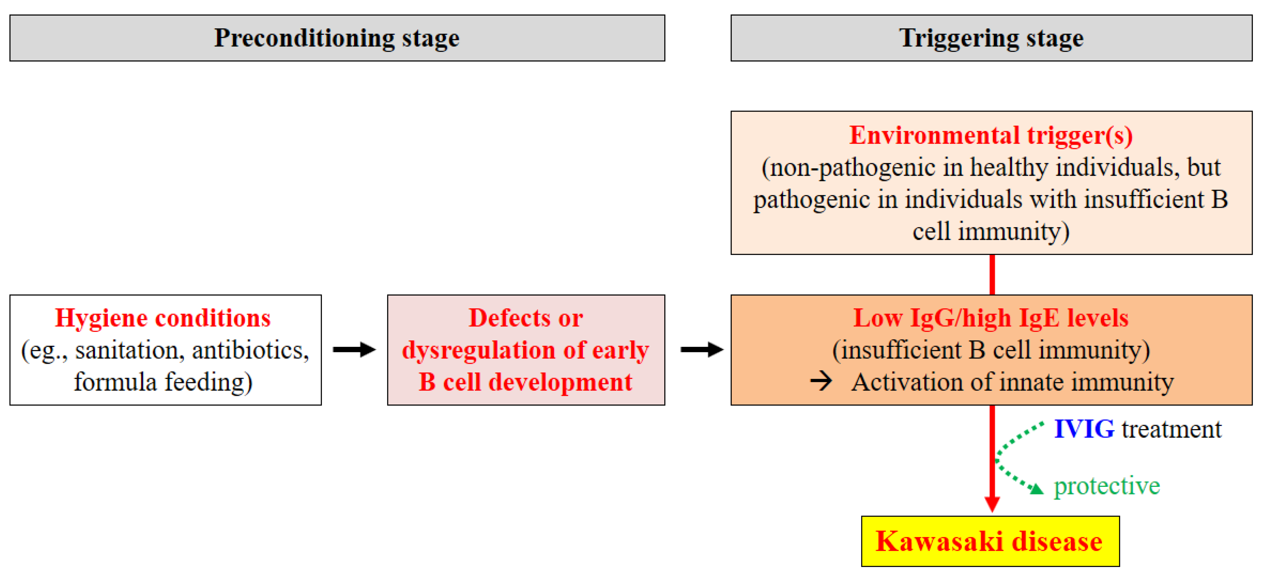 Hygiene Hypothesis as the Etiology of Kawasaki Disease: Dysregulation ...
