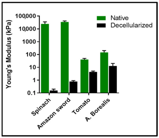 The Emerging Role of Decellularized Plant-Based Scaffolds as a New ...