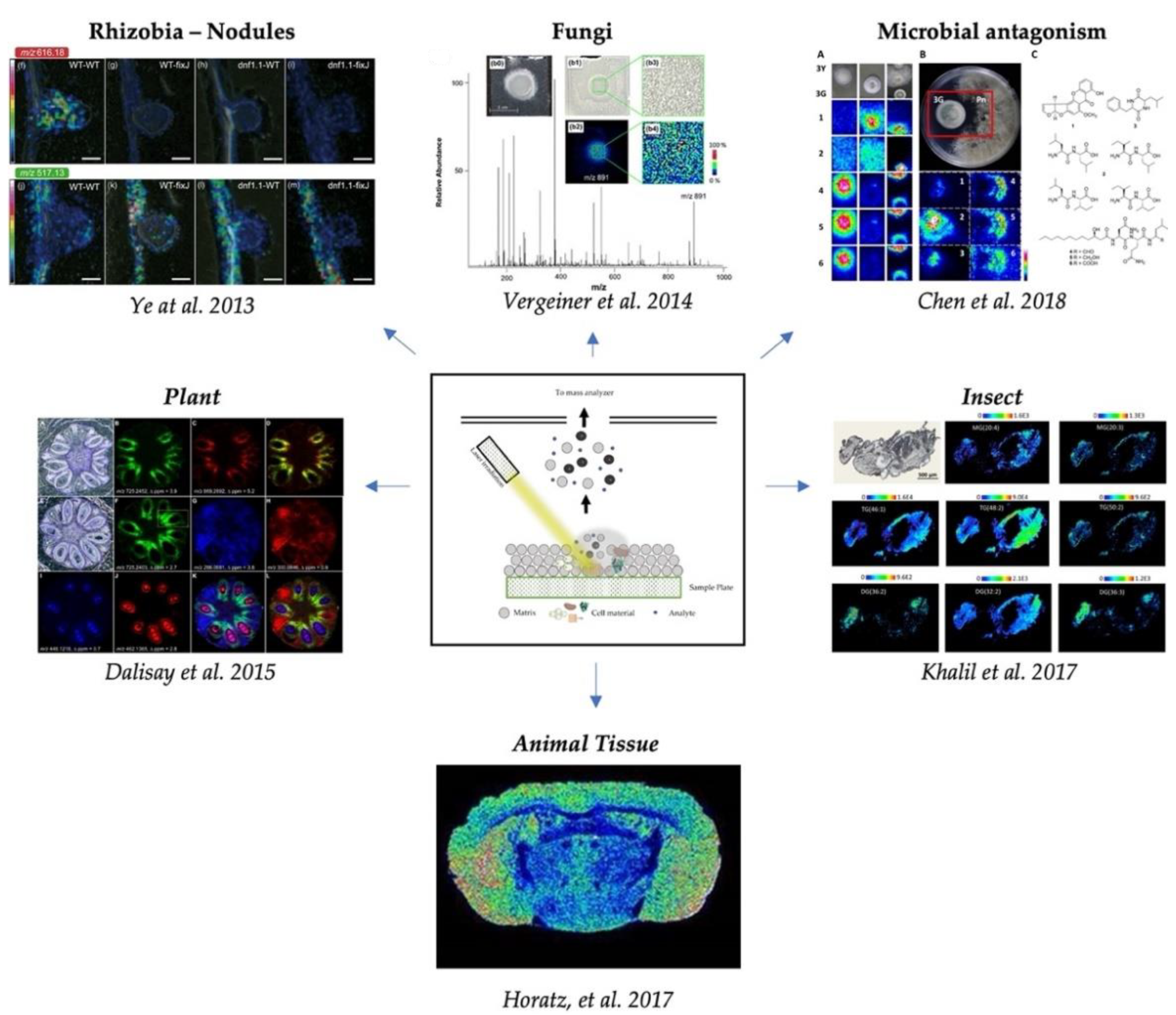 IJMS | Free Full-Text | Unravel the Local Complexity of Biological ...