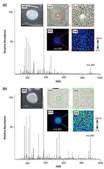 Unravel the Local Complexity of Biological Environments by MALDI Mass ...