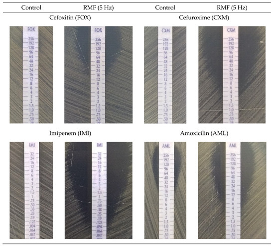Rotating Magnetic Field Increases β-Lactam Antibiotic Susceptibility of ...