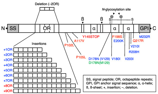 Virus Infection, Genetic Mutations, and Prion Infection in Prion ...