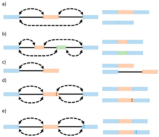 Evolution of the Early Spliceosomal Complex—From Constitutive to ...