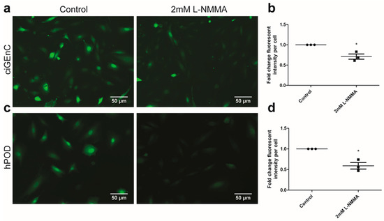IJMS | Free Full-Text | Repurposing Riociguat to Target a Novel ...