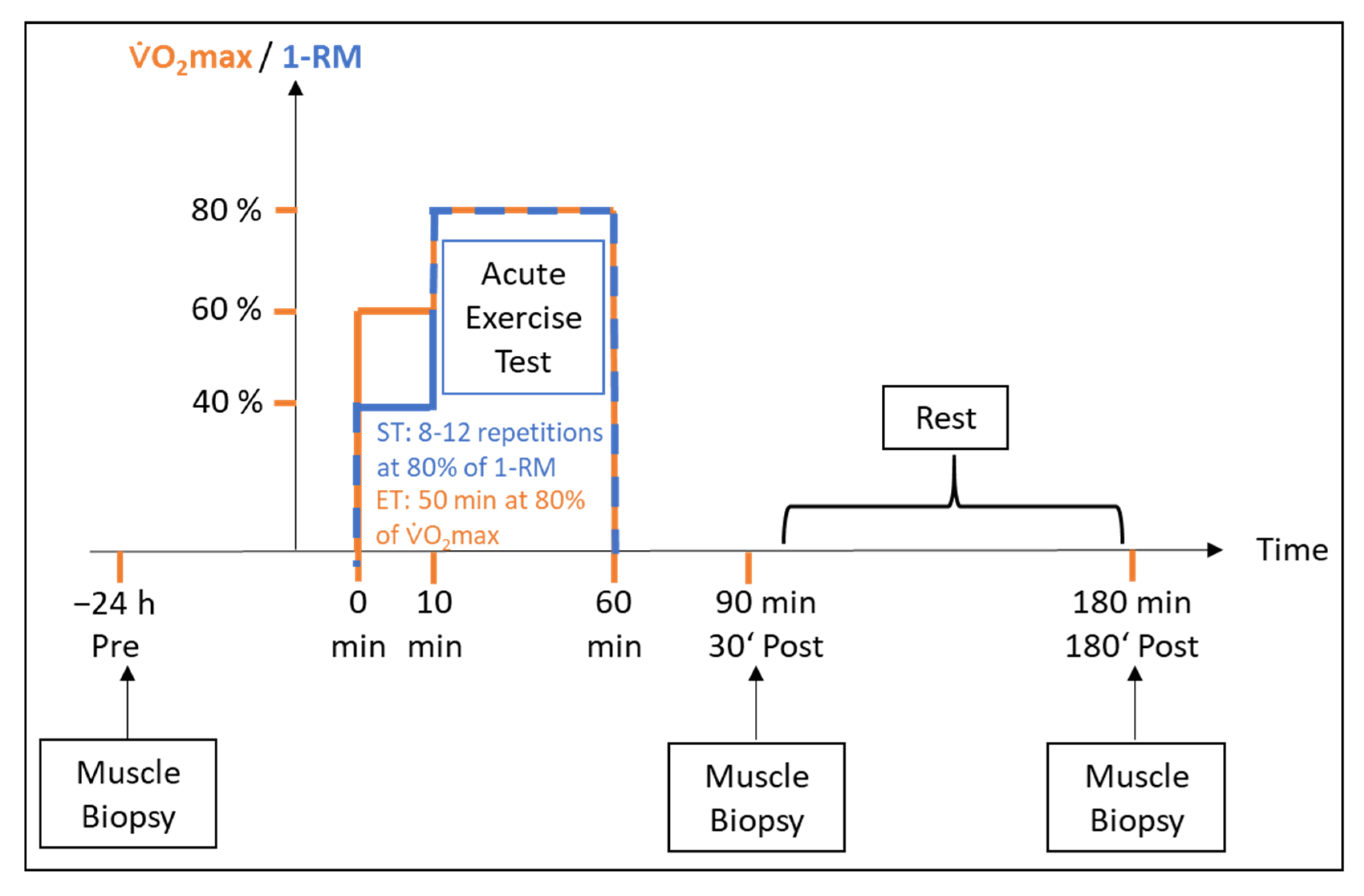 Effects of Training Status and Exercise Mode on Global Gene Expression ...