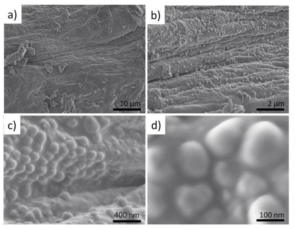 Calcite Nanotuned Chitinous Skeletons of Giant Ianthella basta Marine ...