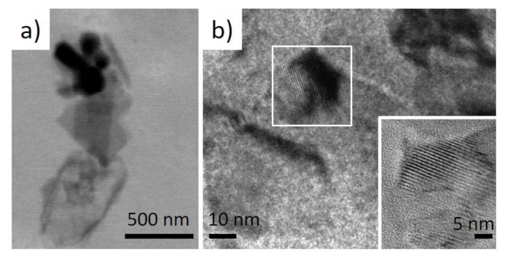 Calcite Nanotuned Chitinous Skeletons of Giant Ianthella basta Marine ...