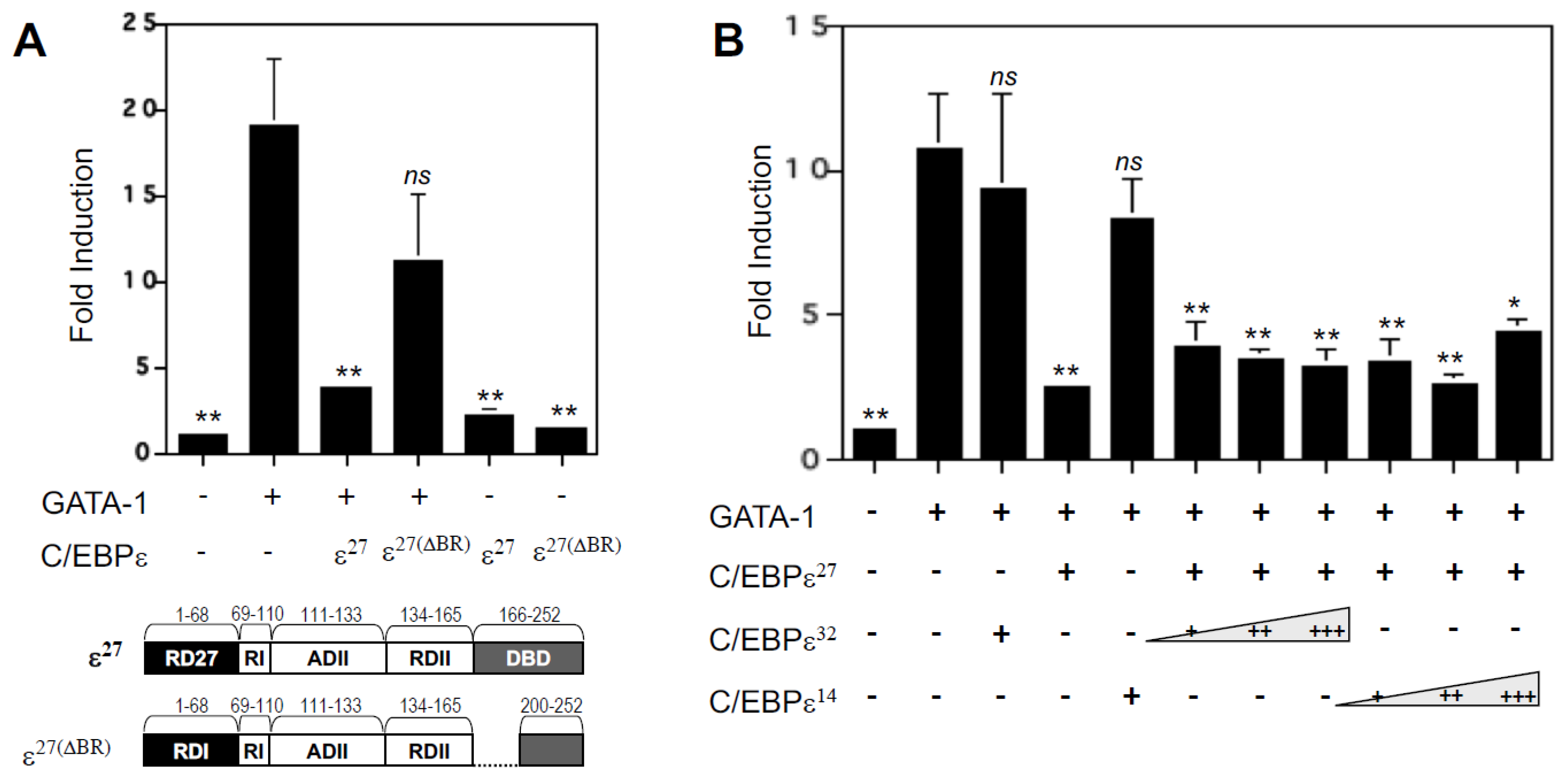 Ijms Free Full Text Ccaat Enhancer Binding Protein ε27 Antagonism