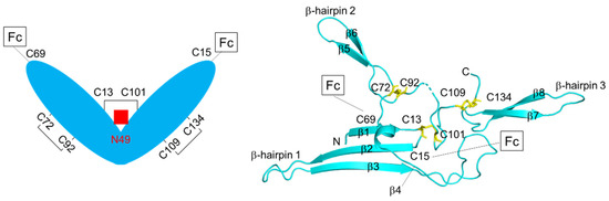 3D Structures of IgA, IgM, and Components