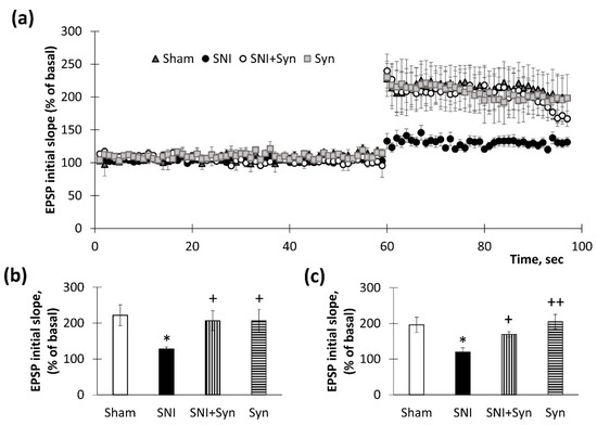 Synaptamide Improves Cognitive Functions and Neuronal Plasticity in ...