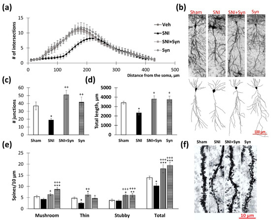 Synaptamide Improves Cognitive Functions and Neuronal Plasticity in ...