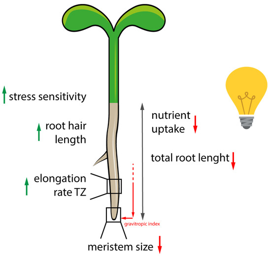 Lessons Learned from the Studies of Roots Shaded from Direct Root ...