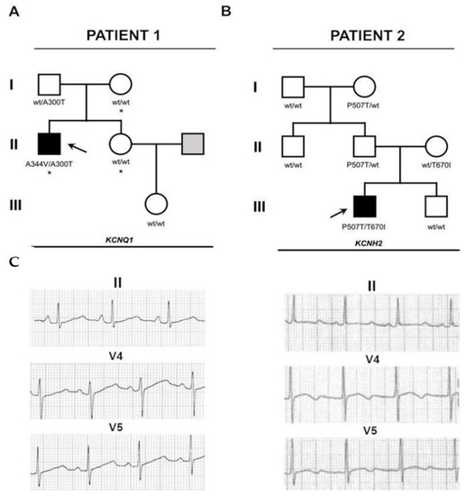 Structural Modelling of KCNQ1 and KCNH2 Double Mutant Proteins ...