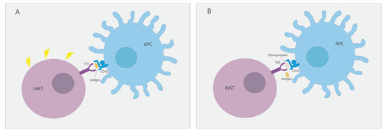 Acid Sphingomyelinase Deficiency: A Clinical and Immunological Perspective
