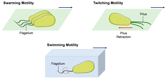 Genomic and Metabolic Characteristics of the Pathogenicity in ...