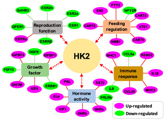 Novel Pituitary Actions of TAC4 Gene Products in Teleost