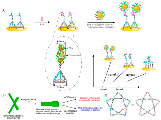 Applications of DNA-Functionalized Proteins